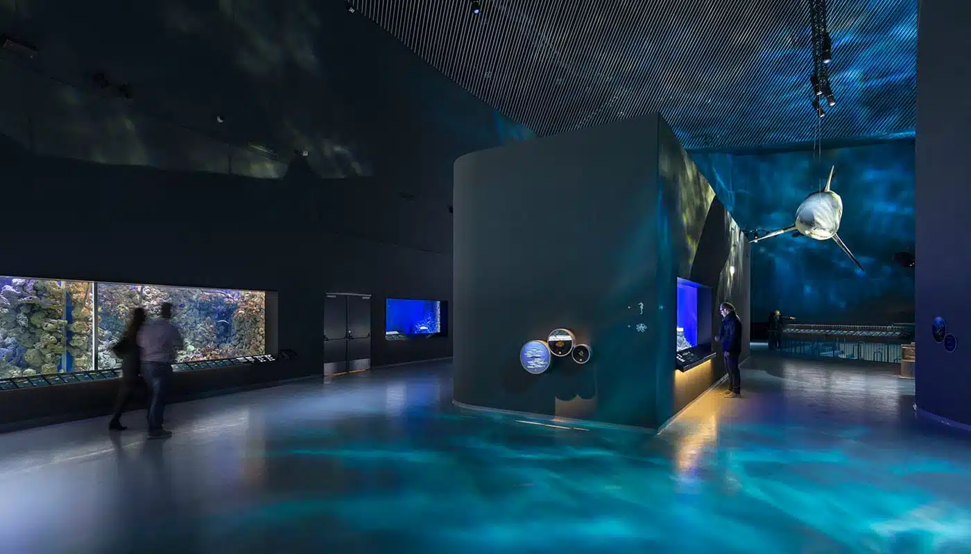 Den Bla Planet, Copenhagen, Denmark – Advanced Aquarium Technologies
