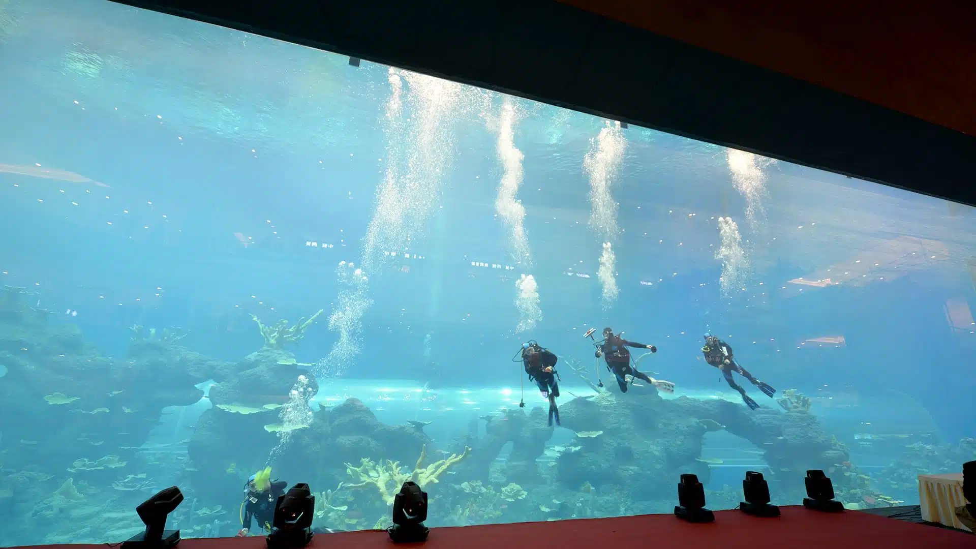 Cube Oceanarium, Chengdu, China – Advanced Aquarium Technologies