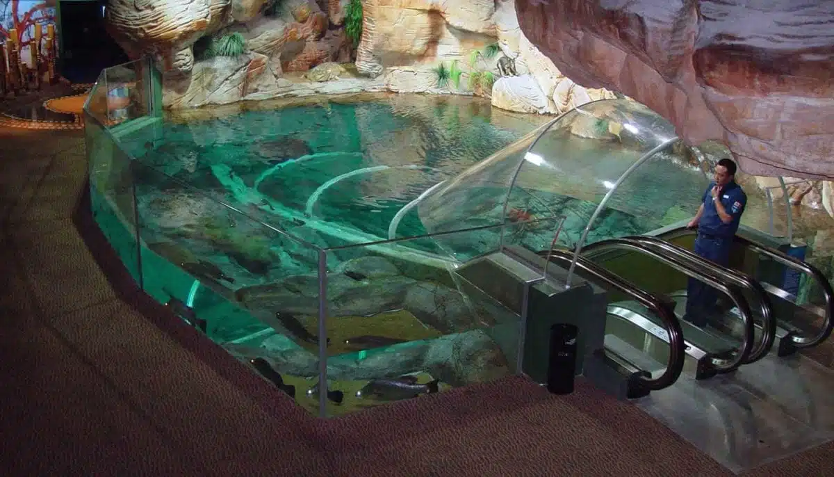 Shanghai Ocean Aquarium, Shanghai, China. – Advanced Aquarium Technologies